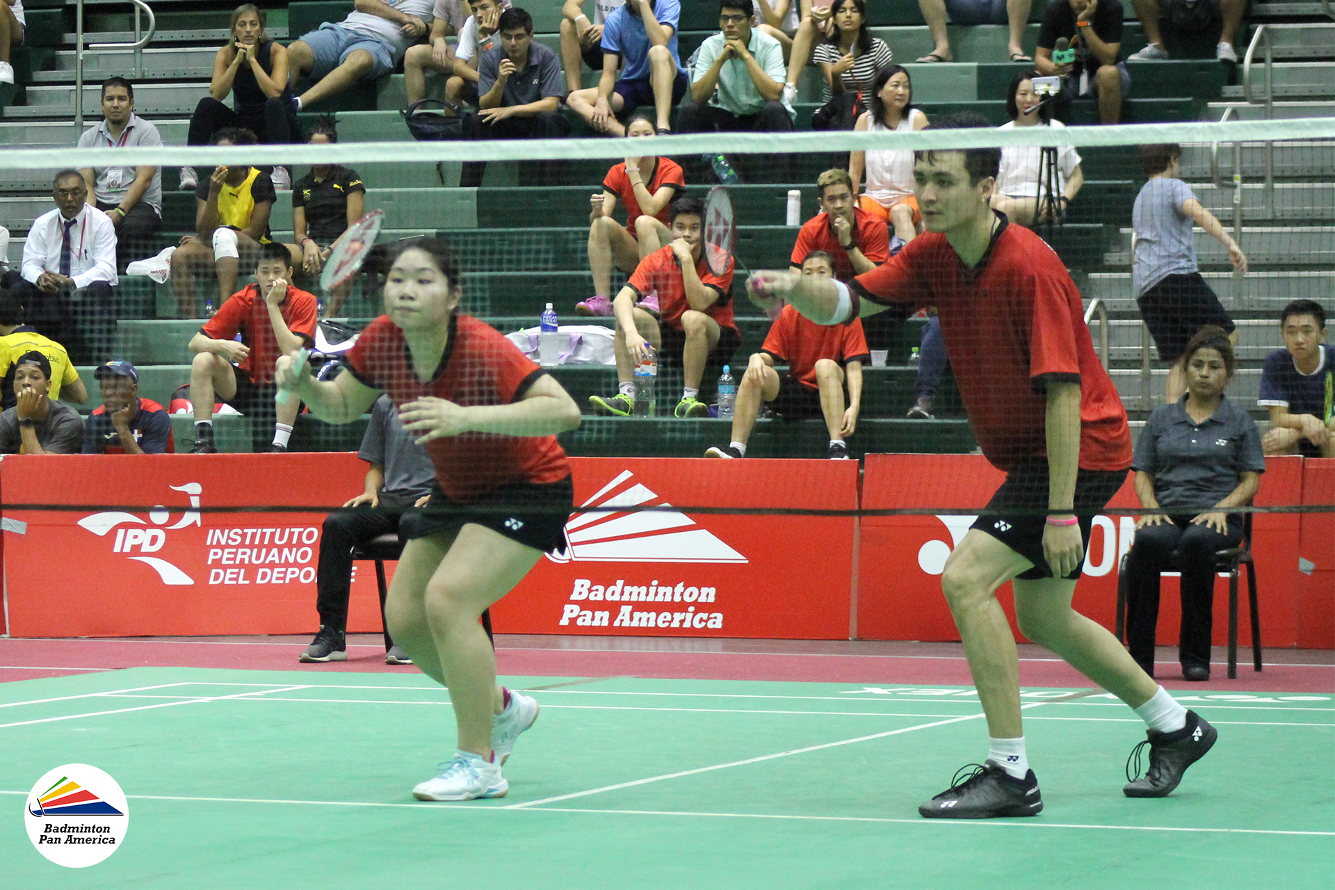 The Reign Continues – Pan Am Team 2019 – Badminton Pan America